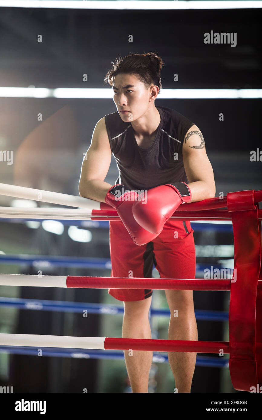 Indian man boxer boxing sports hi-res stock photography and images - Alamy