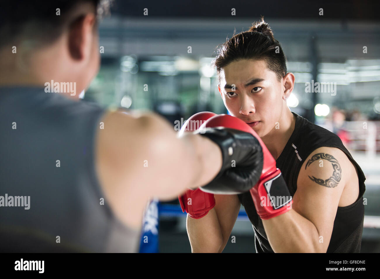 Fighting defending boxing ring competition boxing glove hi-res stock ...