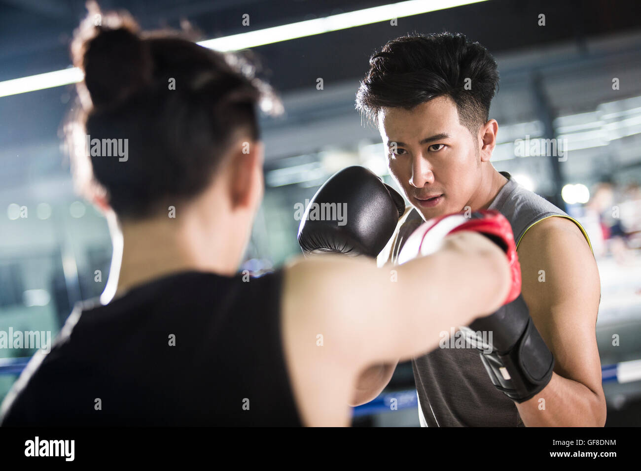 Chinese boxers fighting in boxing ring Stock Photo - Alamy