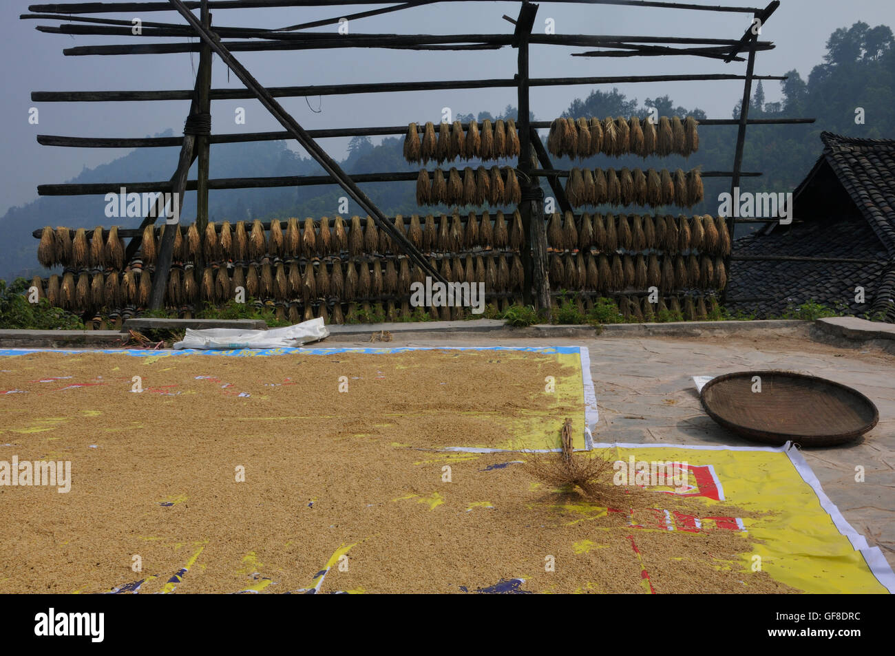 Agriculture china chinese drying hi-res stock photography and images ...