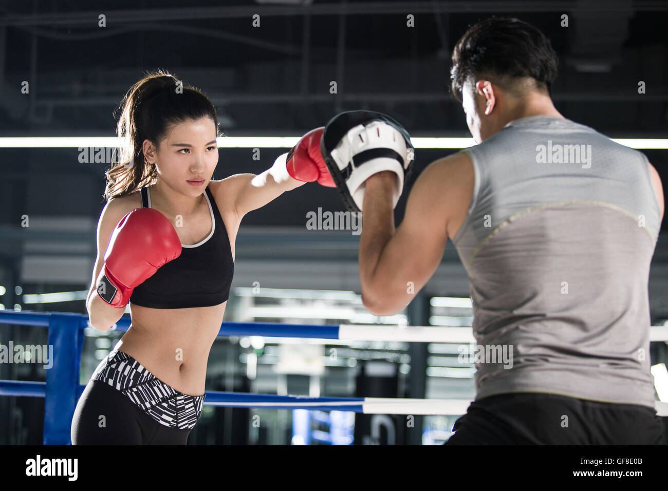 Boxing ring sport assistance boxing glove competition standing hi-res ...