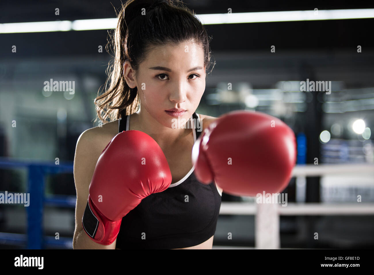 Portrait of female Chinese boxer Stock Photo - Alamy