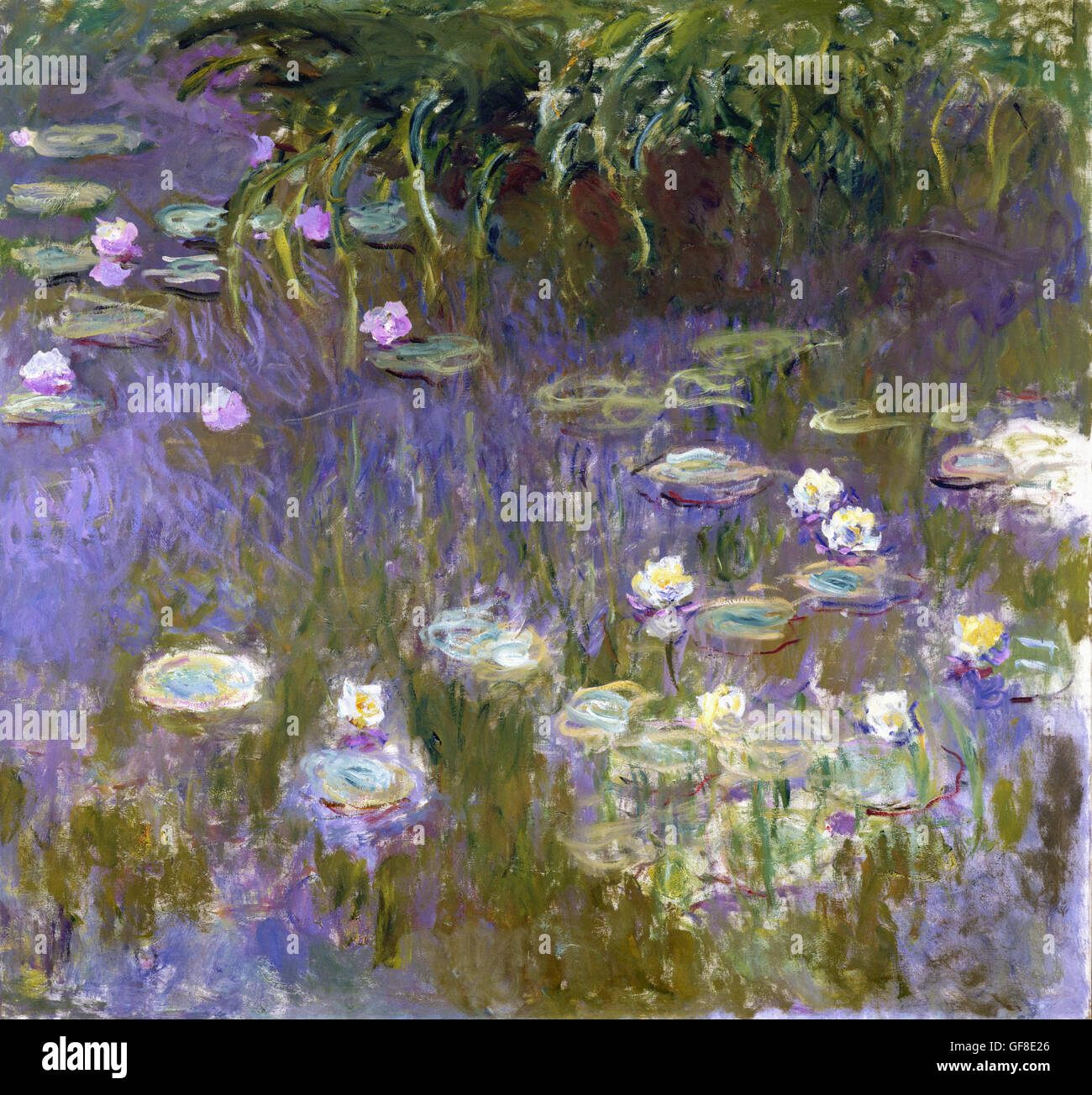 Claude monet water lilies hi-res stock photography and images - Alamy