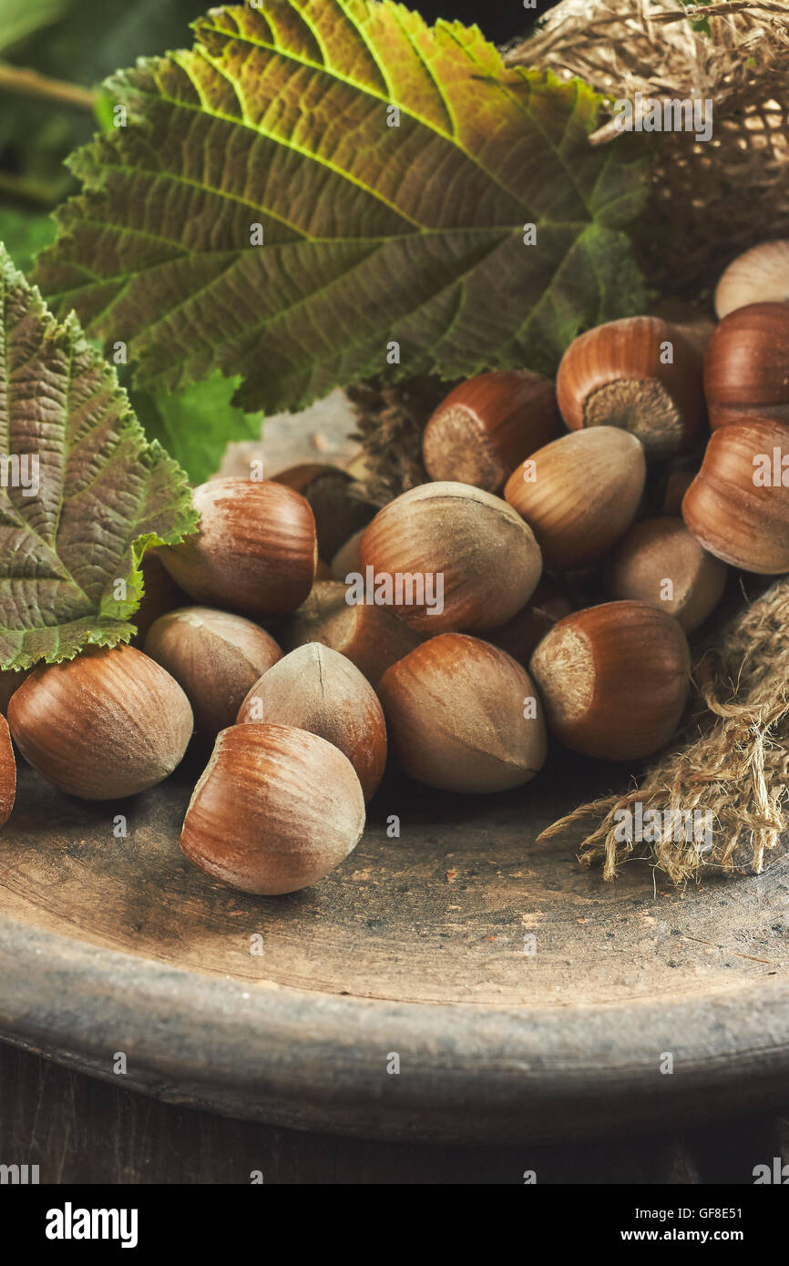 Harvest of hazelnuts hi-res stock photography and images - Alamy