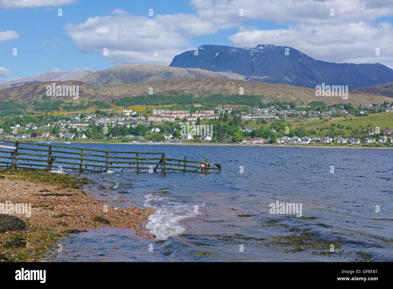 View across Loch Linnhe to Fort William and the towering mass of Ben ...