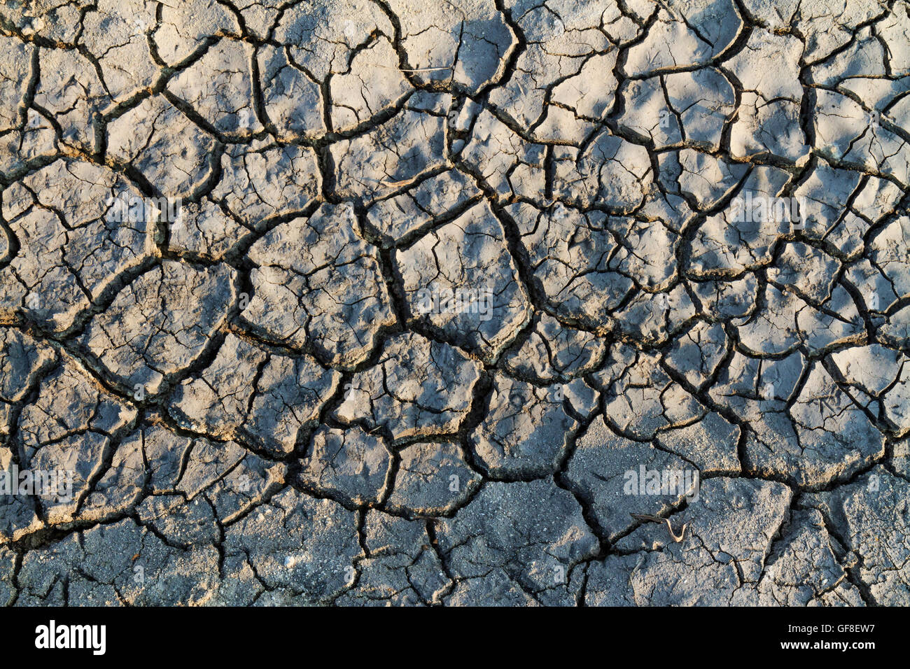 Cracks in clay ground hi-res stock photography and images - Alamy
