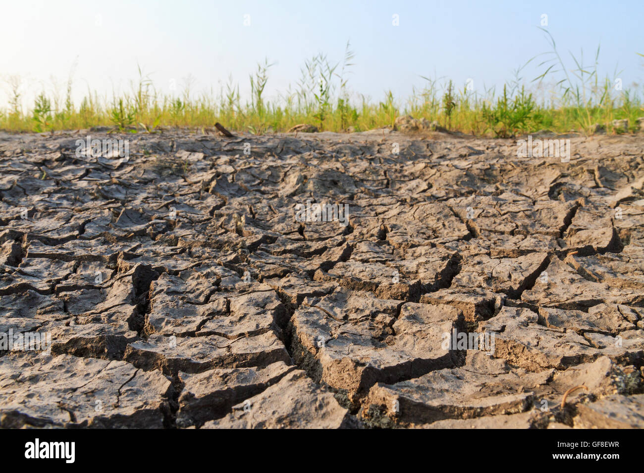 lake that dried up Stock Photo - Alamy