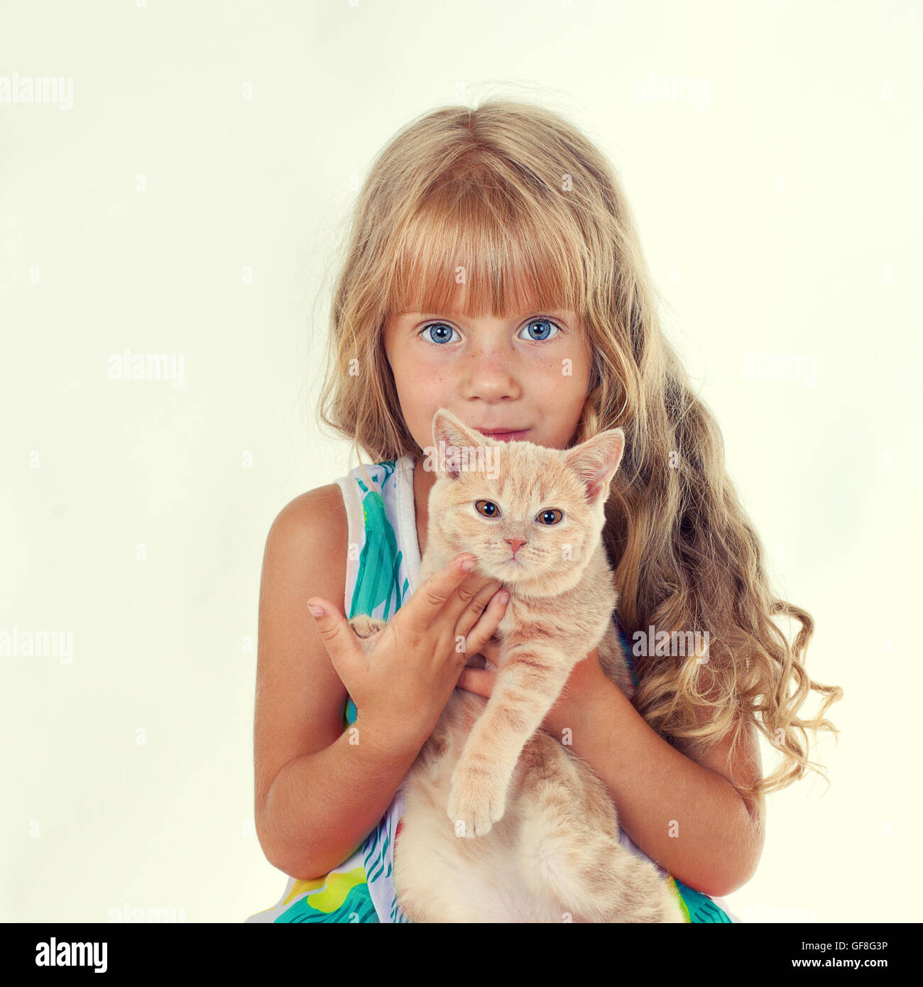 Cute girl hugging a little cat isolated on white background Stock Photo ...