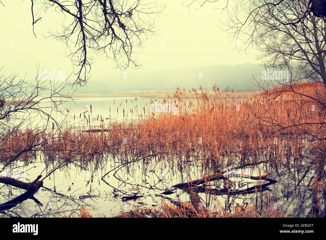 Misty rural hi-res stock photography and images - Alamy