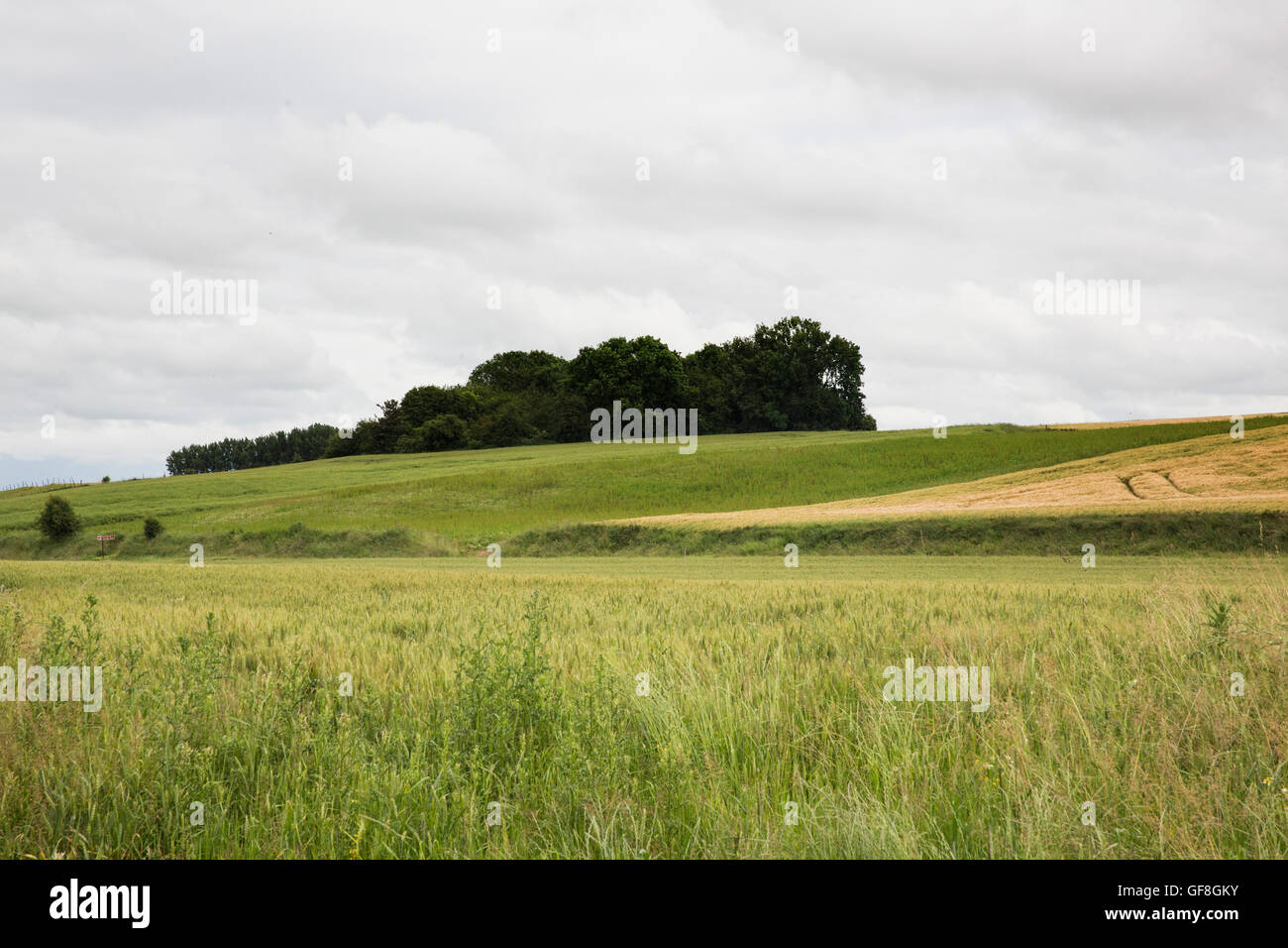 The crater of the Hawthorn Redoubt seen from the location of Jacob's ...