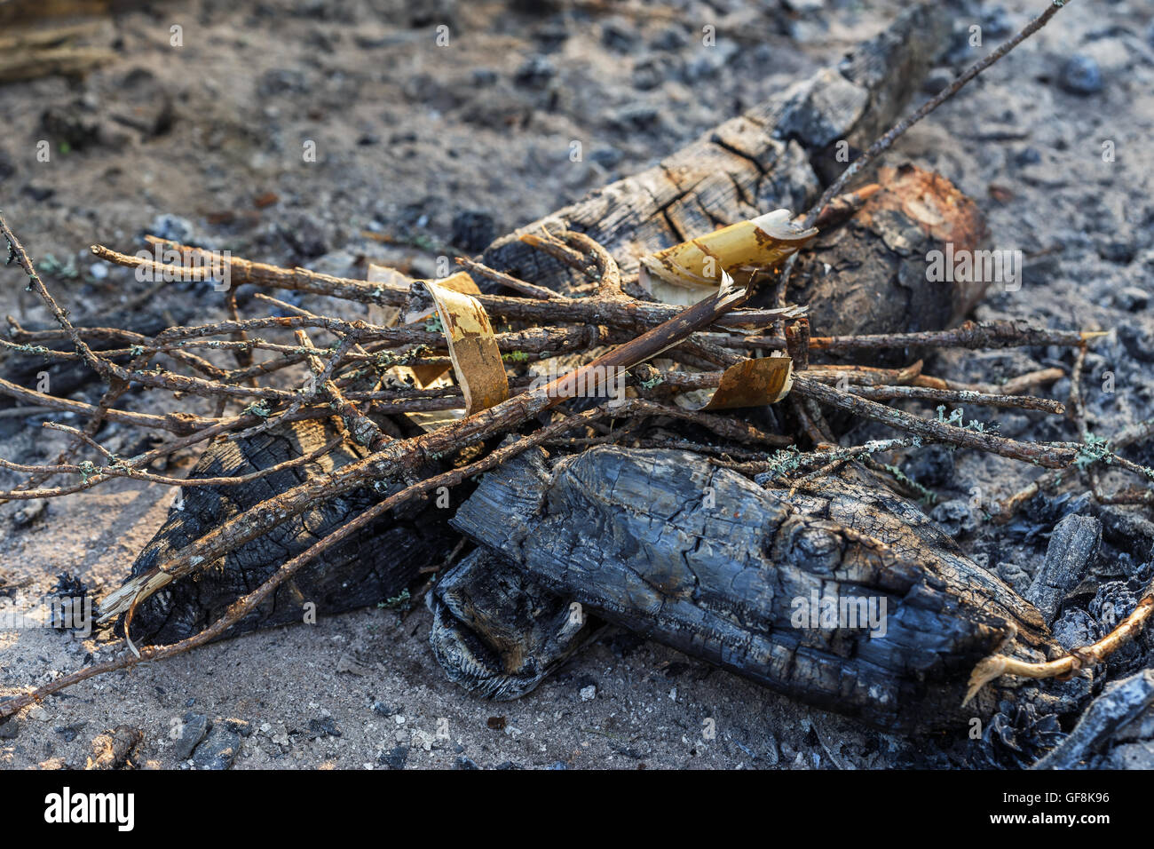 Burnt wood from a fire in nature Stock Photo - Alamy