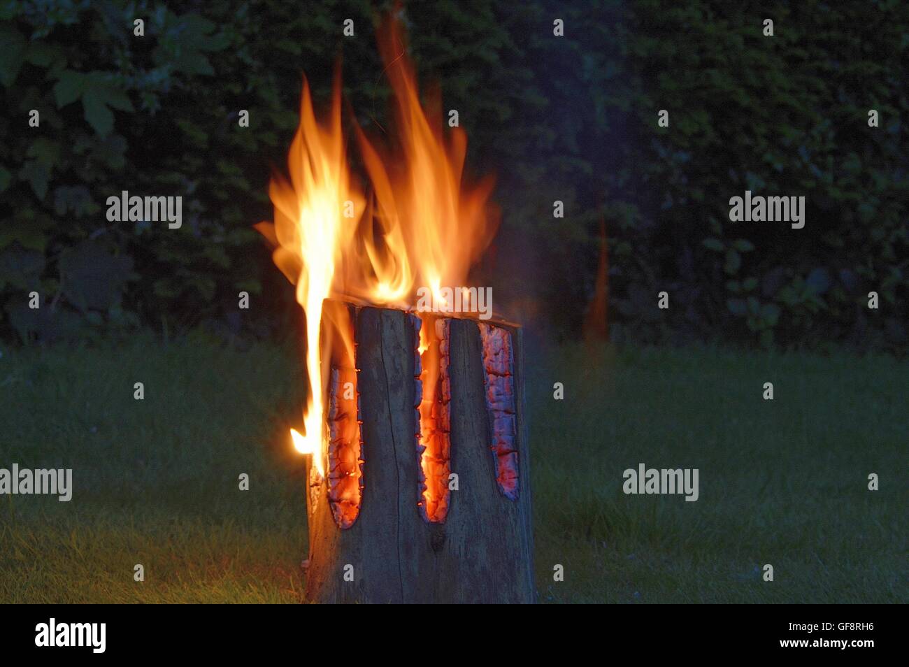 Log Torch Diagram