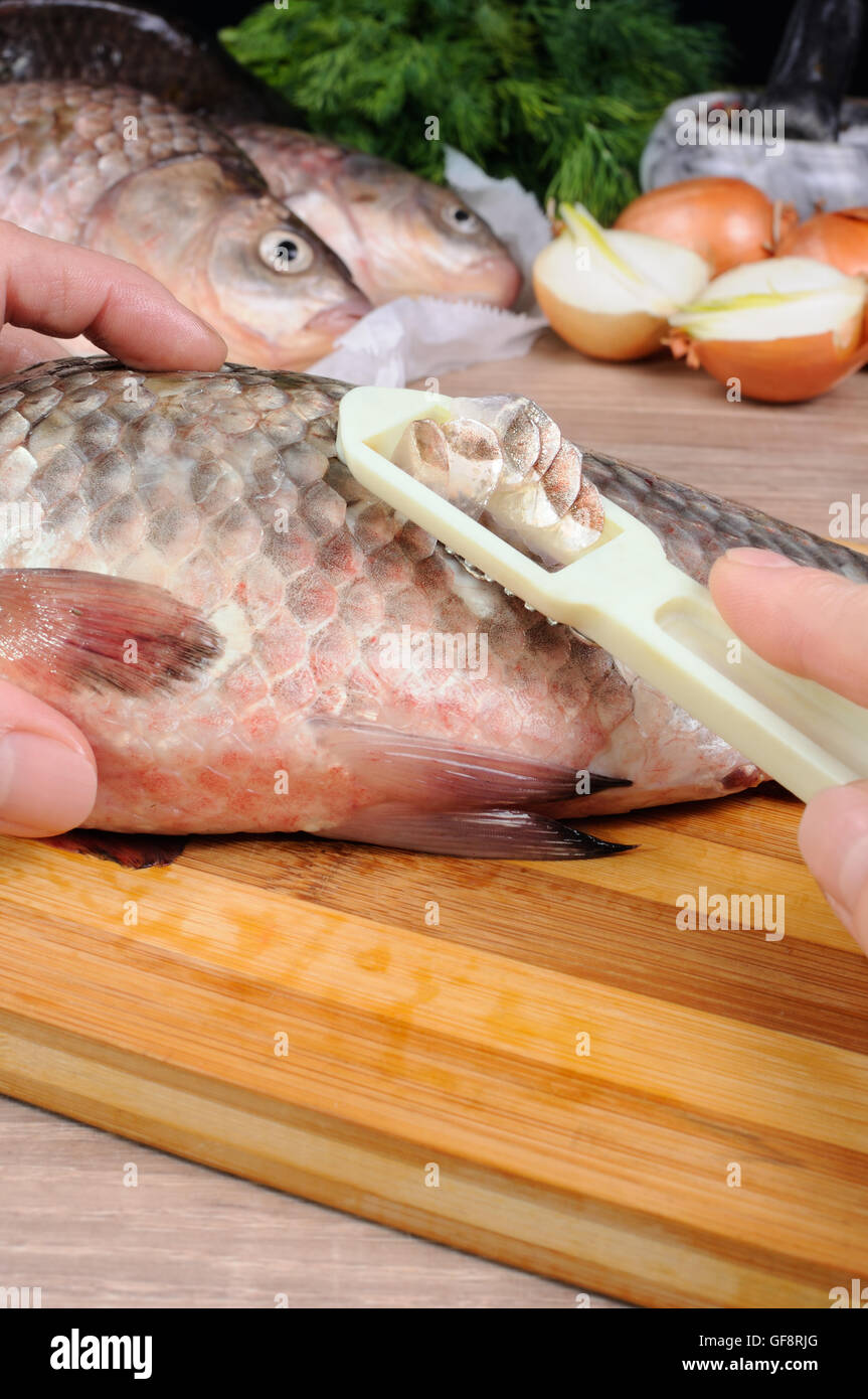 cleaning a fresh crucian carp on a wooden cutting board Stock Photo - Alamy