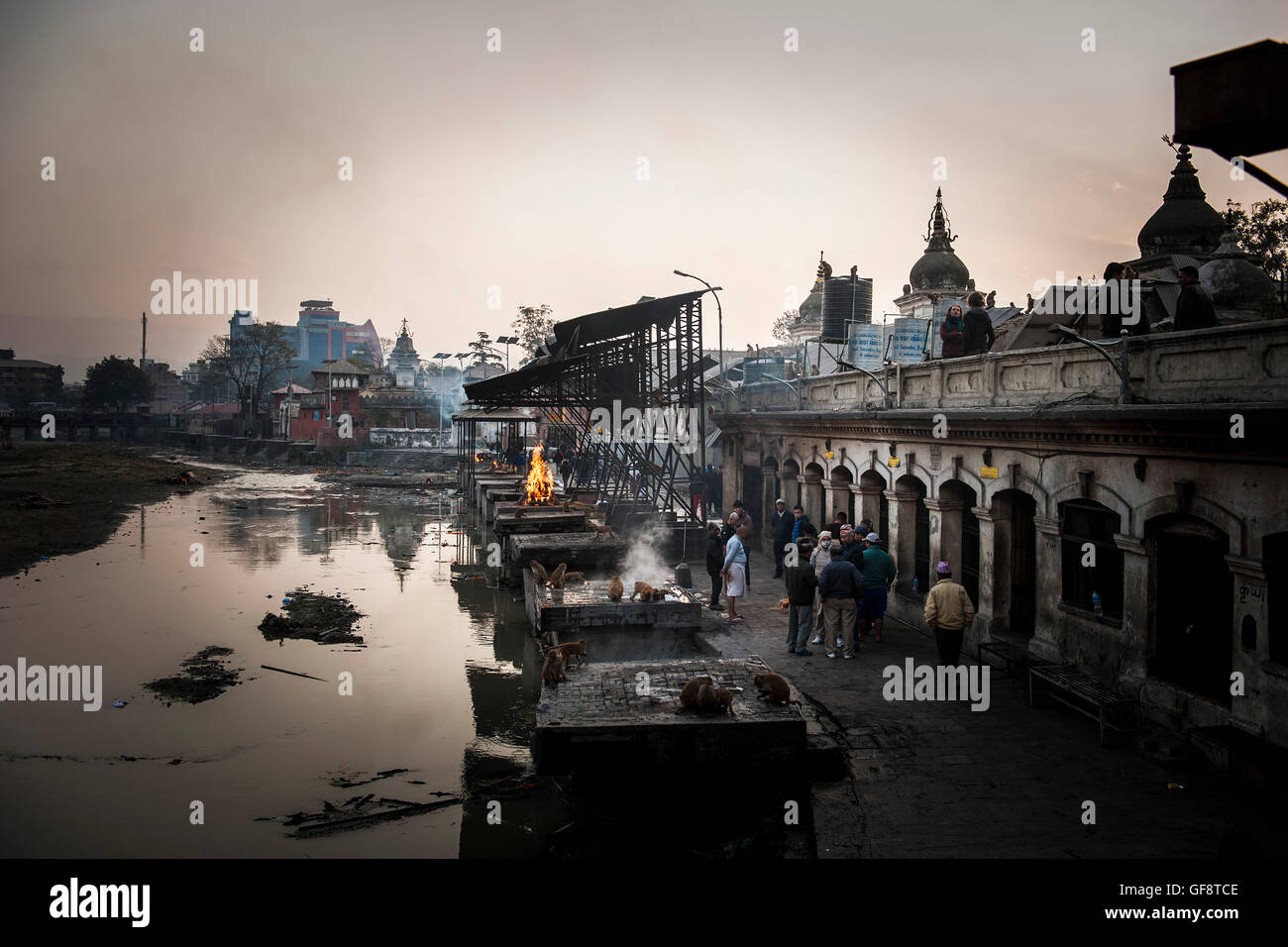 Nepal, Kathmandu, Pashupatinath, cremation funeral Stock Photo - Alamy