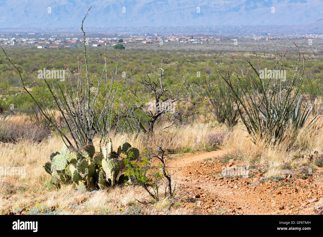 Urban sprawl spreading toward the Rincon Mountains along the Arizona ...