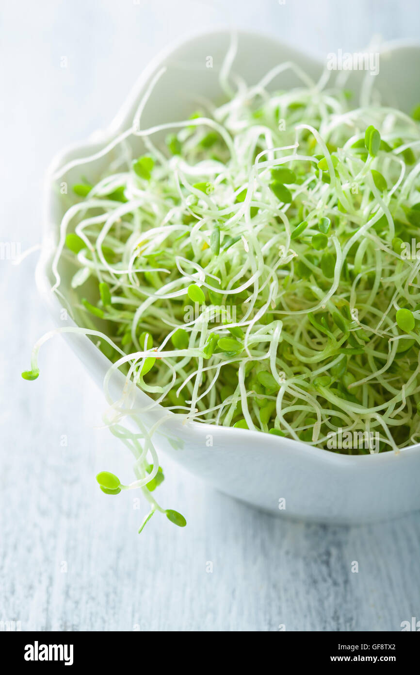 Fresh clover hi-res stock photography and images - Alamy