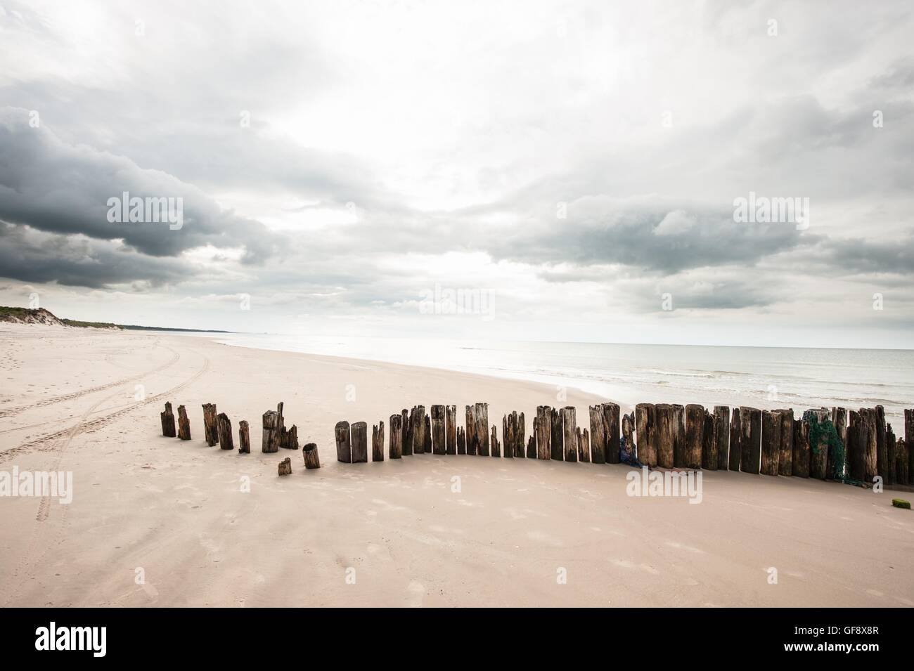 Poles in the sand at the beach in Tversted in Denmark Stock Photo - Alamy