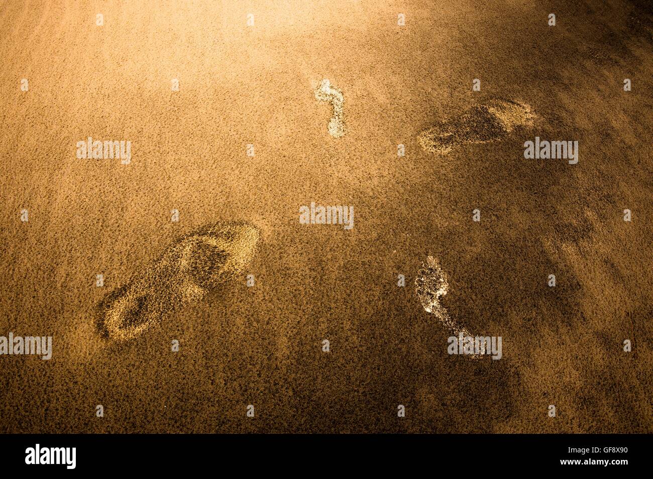 Large and small traces in the sand crossing each other Stock Photo - Alamy