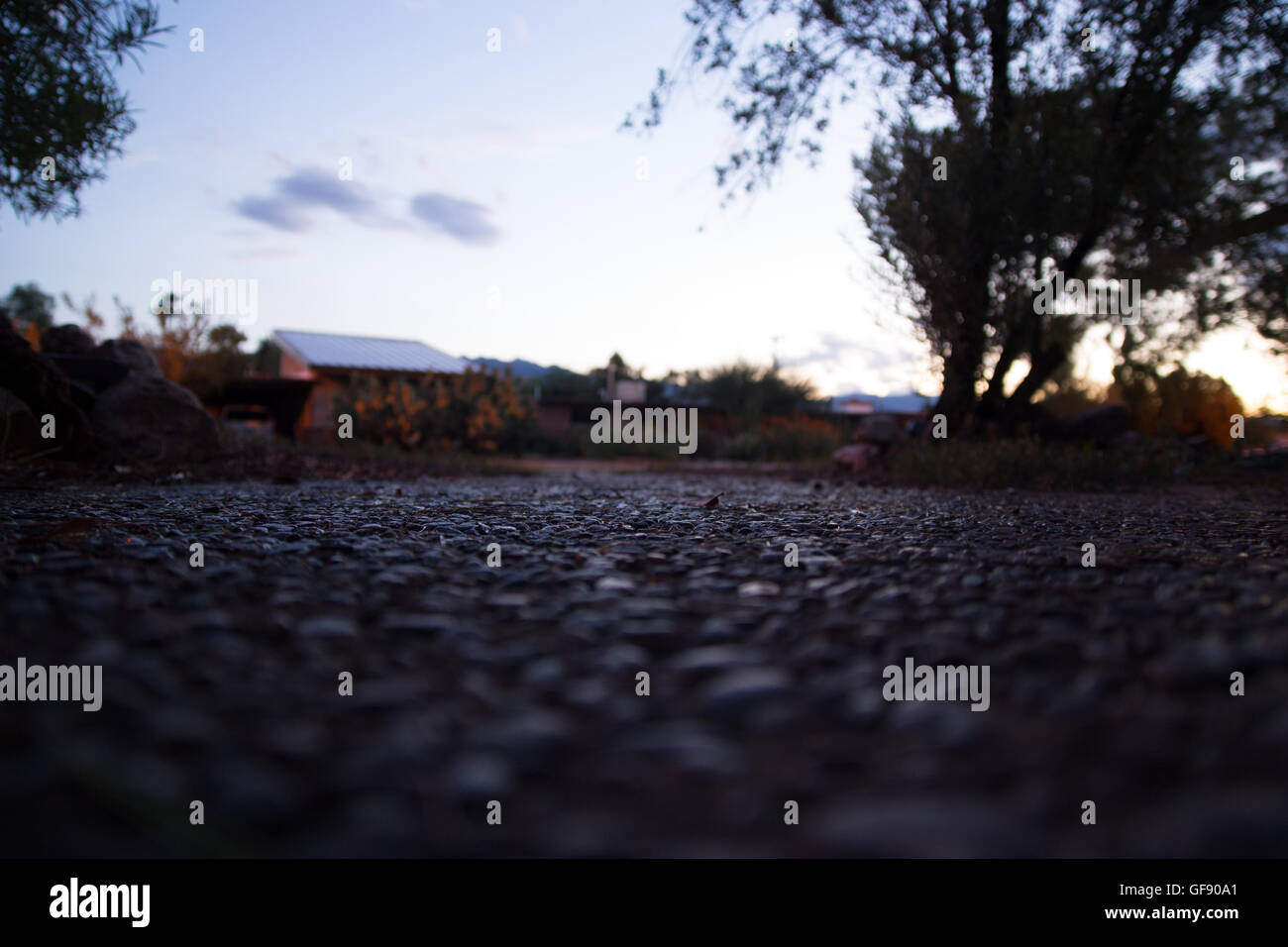 The coming day is so peaceful after rough night of monsoon ...