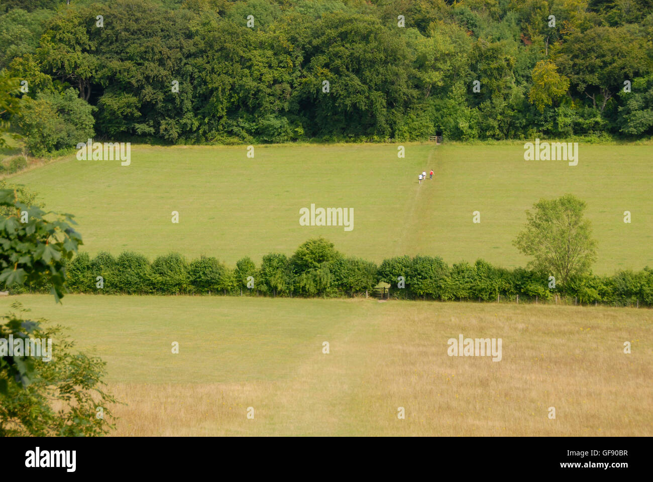 Three people walking across a field Stock Photo - Alamy