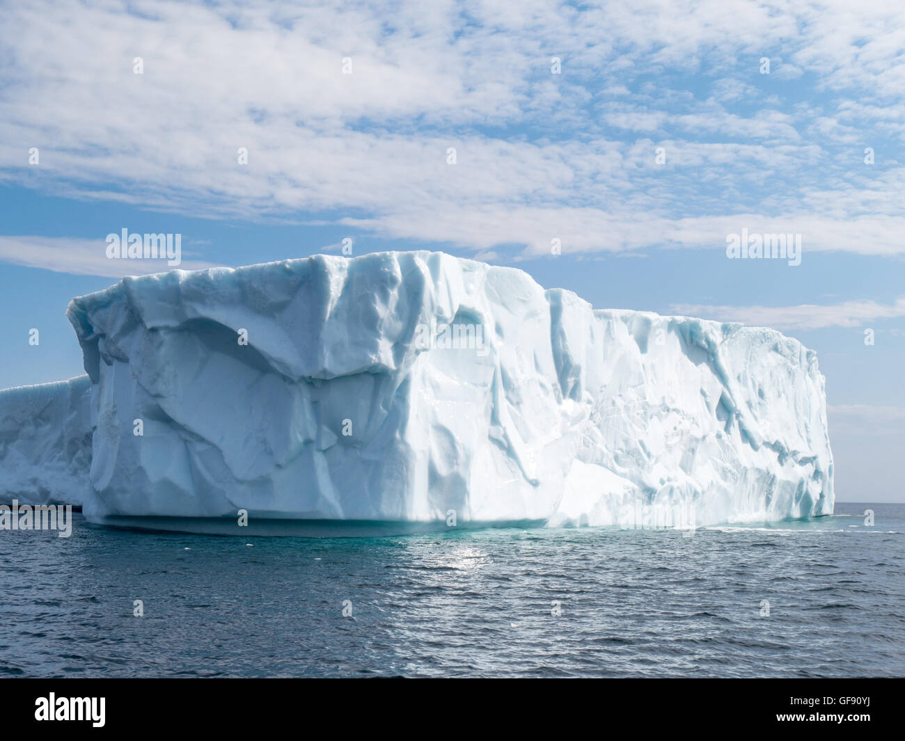 Newfoundland iceberg alley hi-res stock photography and images - Alamy