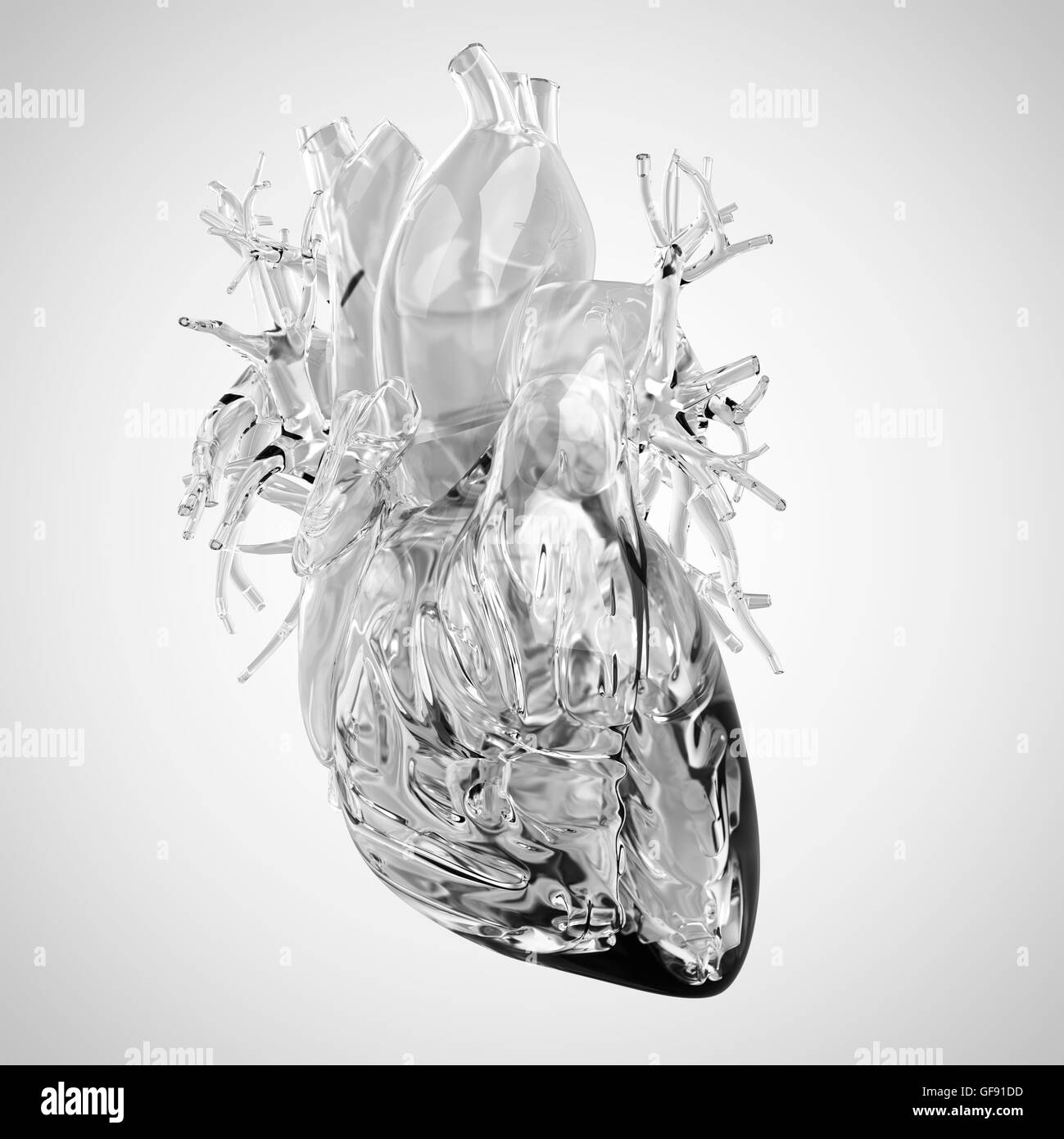 Brain in human brain Black and White Stock Photos & Images - Alamy