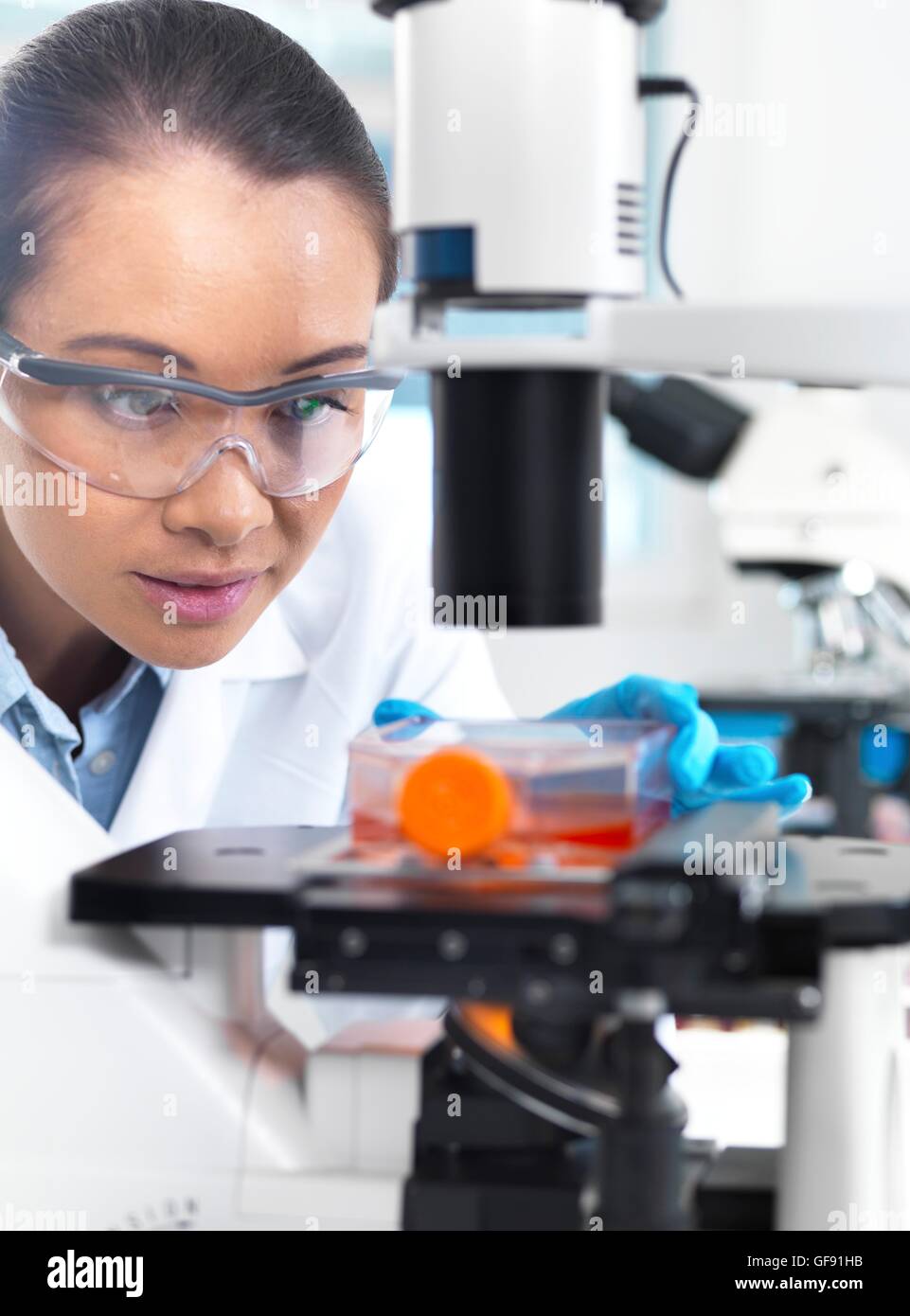 PROPERTY RELEASED. MODEL RELEASED. Laboratory researcher using a light ...