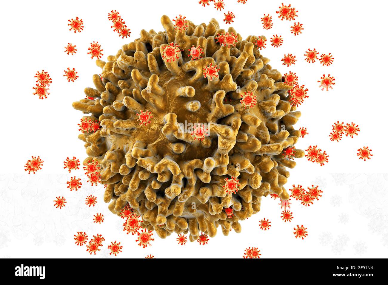 Cd4 Stock Photos & Cd4 Stock Images - Alamy