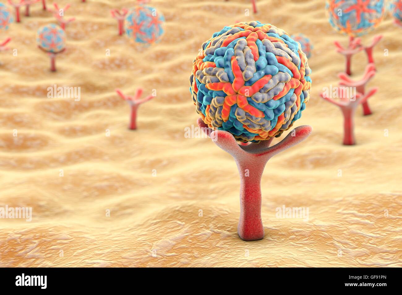 Computer illustration of a Zika viruses (ZIKV) particle (spherical ...