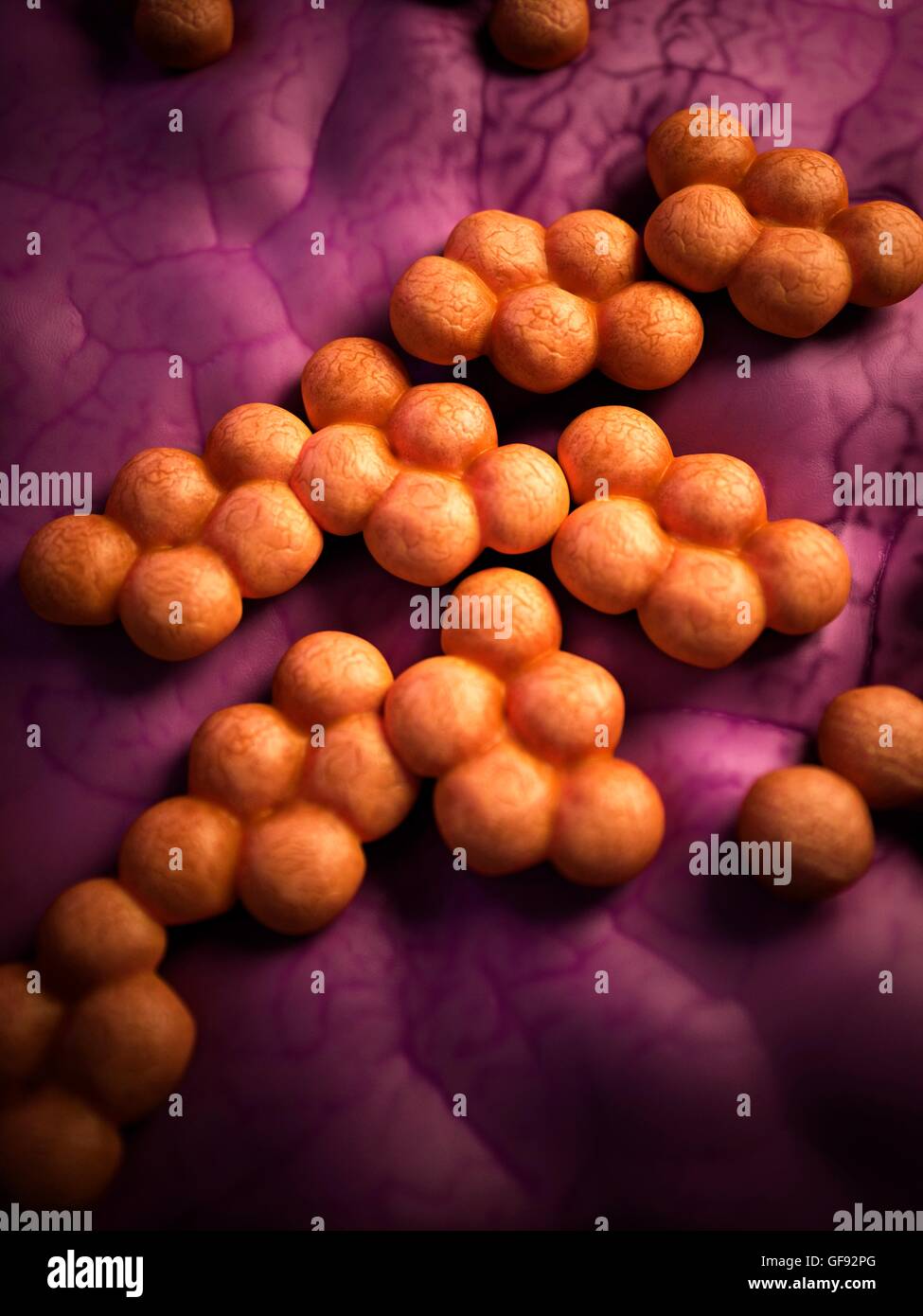 Mrsa bacteria, illustration Stock Photo - Alamy