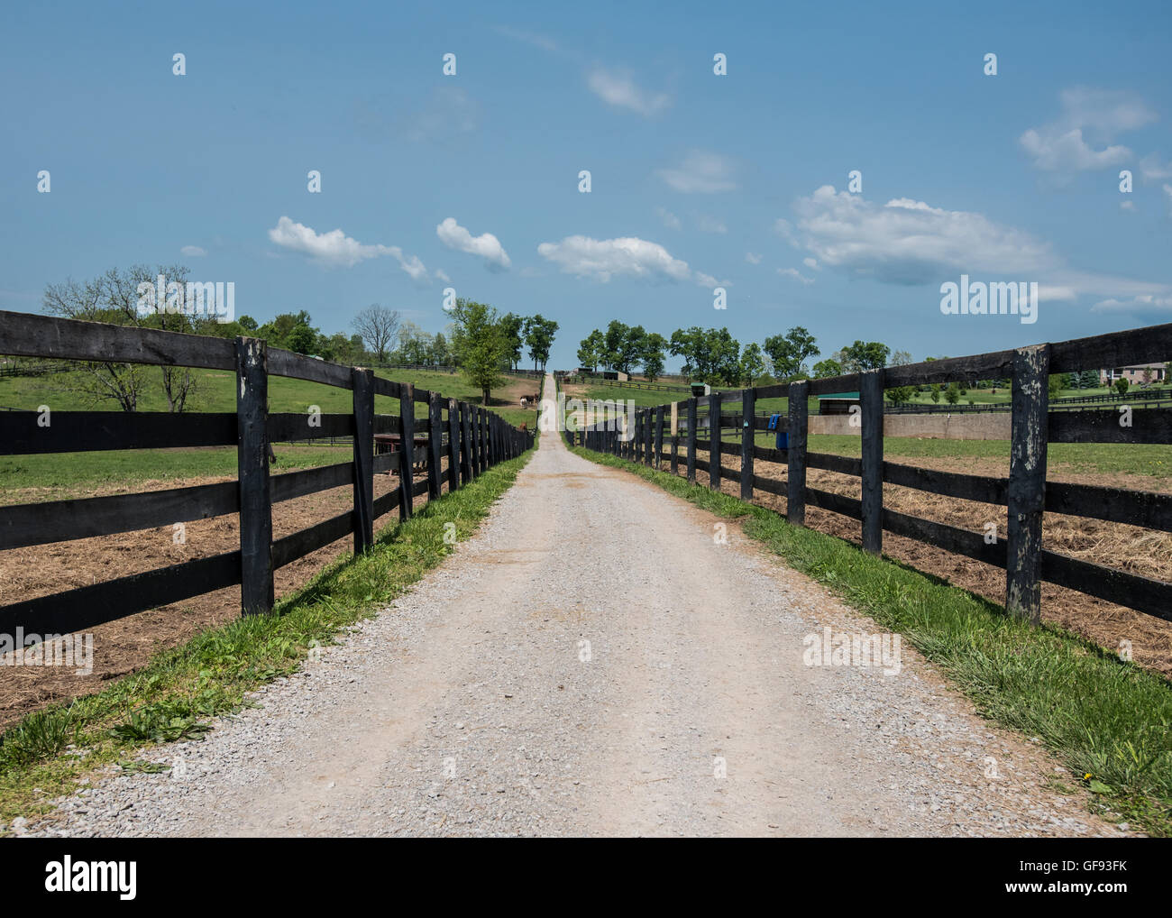 Between the fence hi-res stock photography and images - Alamy