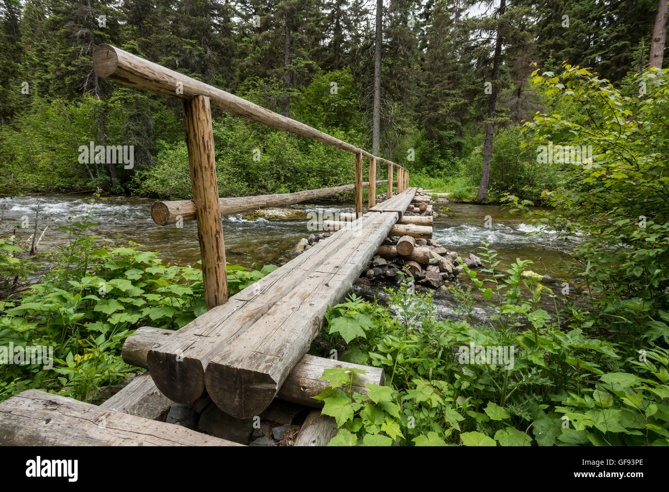 Log Bridge Crosses Rushing Creek in thick forest Stock Photo - Alamy