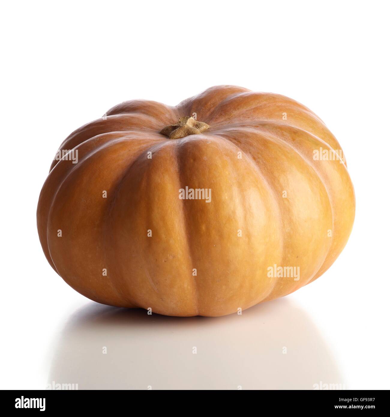 Cinderella pumpkin (Cucurbita moschata), studio shot Stock Photo - Alamy