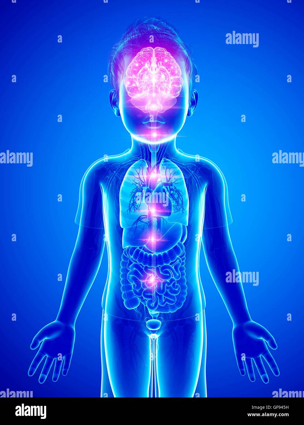 Brain Activity Stock Photos & Brain Activity Stock Images - Alamy