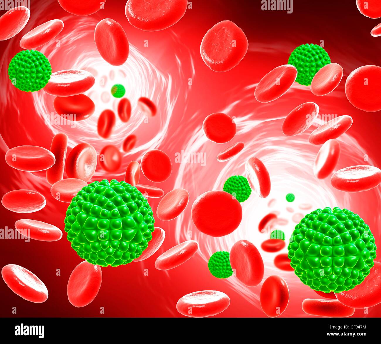 Nudaurelia capensis virus hi-res stock photography and images - Alamy