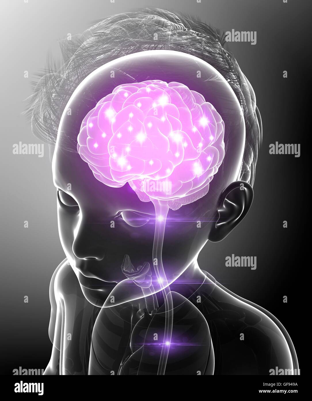 Human brain activity hi-res stock photography and images - Alamy