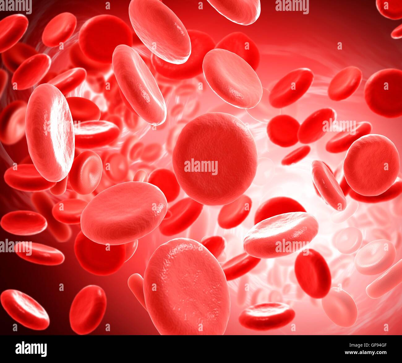 Normal Red Blood Cells