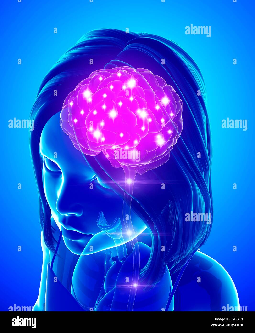 Normal brain activity hi-res stock photography and images - Alamy