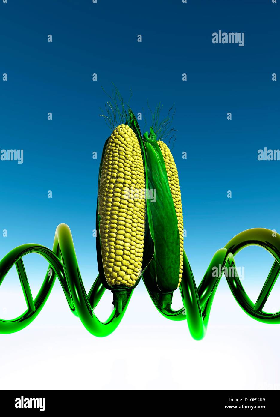 Crop dna hi-res stock photography and images - Alamy