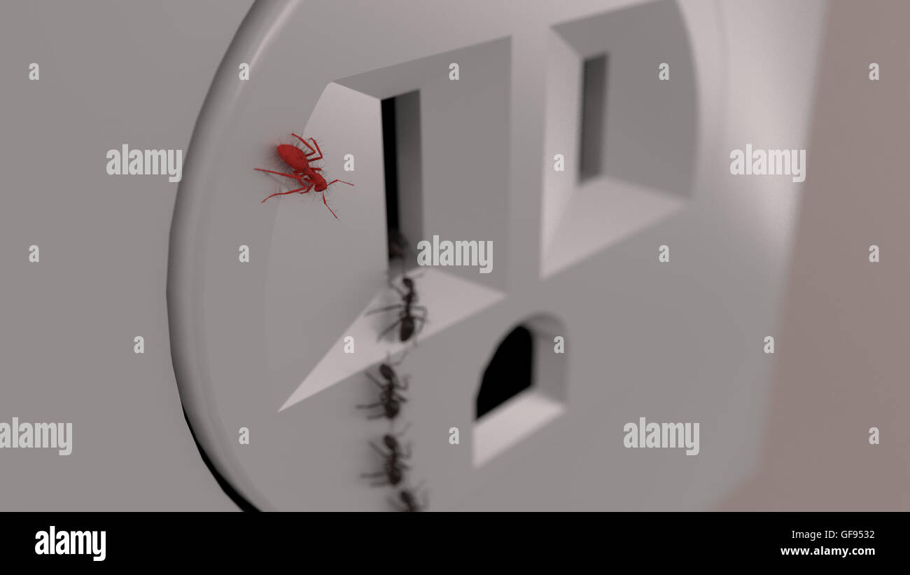 Red ant watching other ants walk into electrical outlet. showing ...