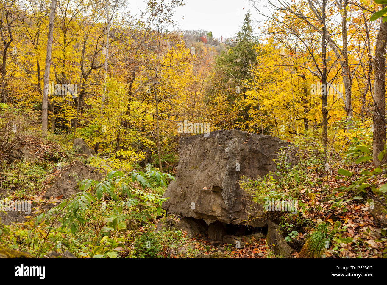 Niagara River canyon and forest Autumn Stock Photo - Alamy