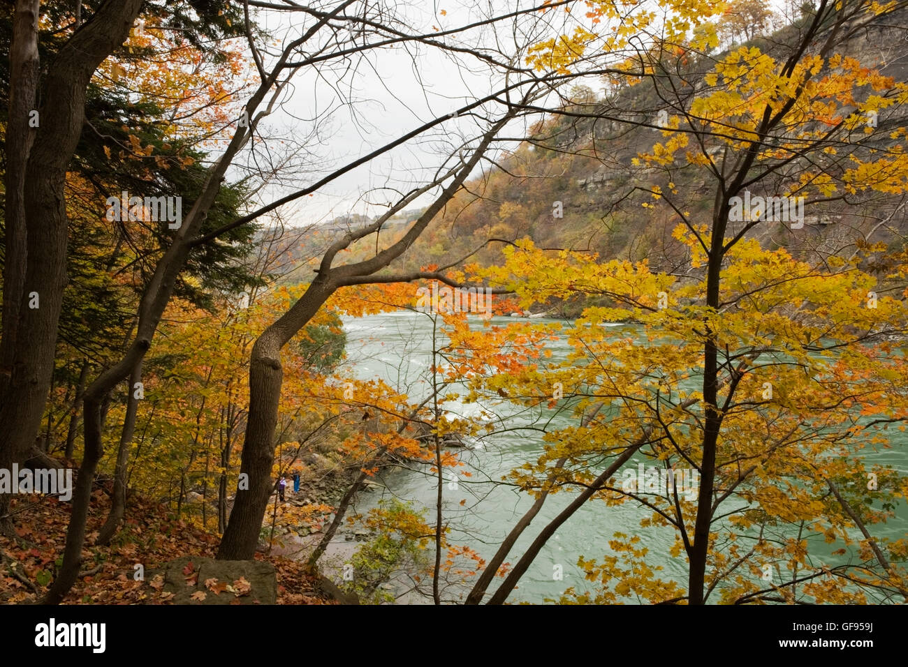 Niagara River canyon and forest Autumn Stock Photo - Alamy