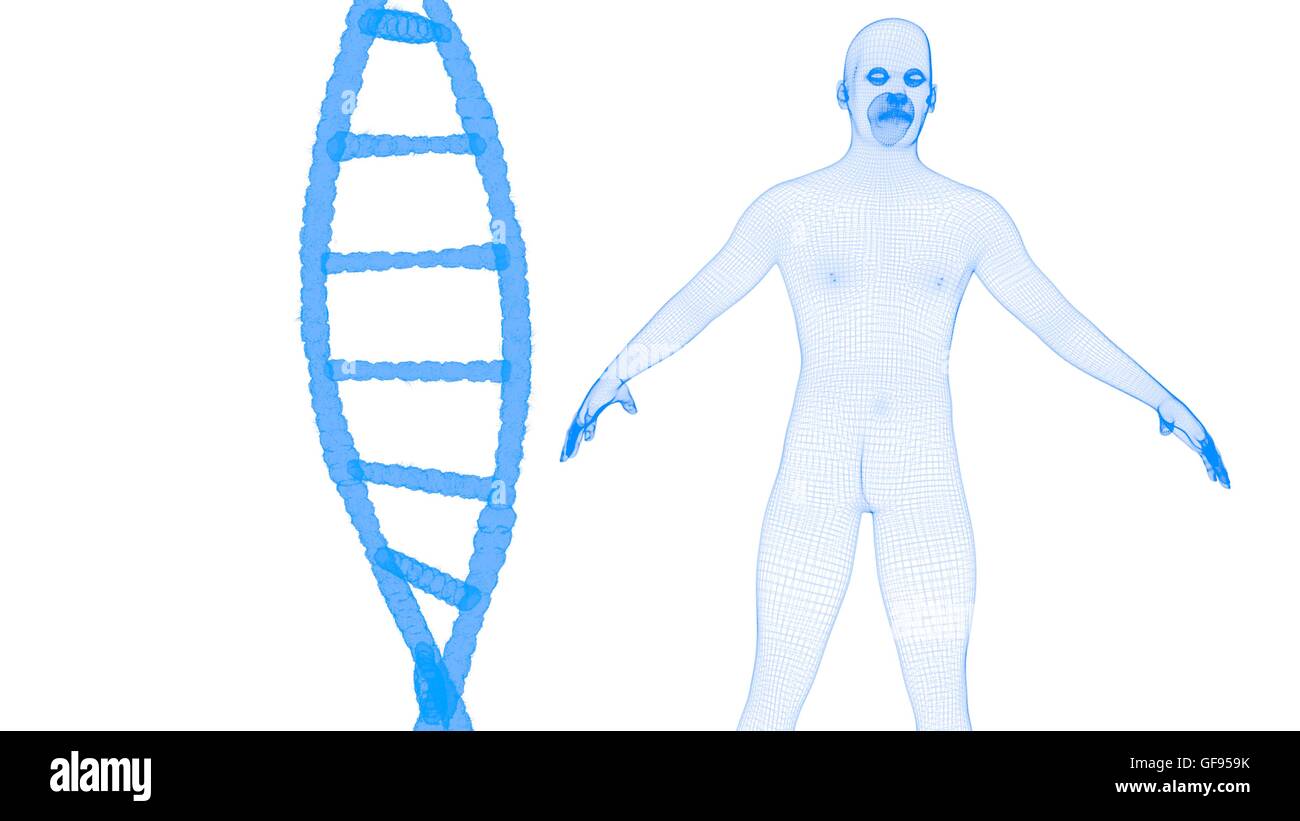 Dna biology chromosome evolution genetic helix render spiral Cut Out ...