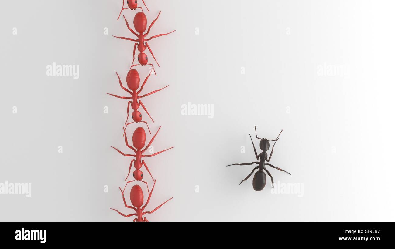 ant different from the rest Stock Photo - Alamy