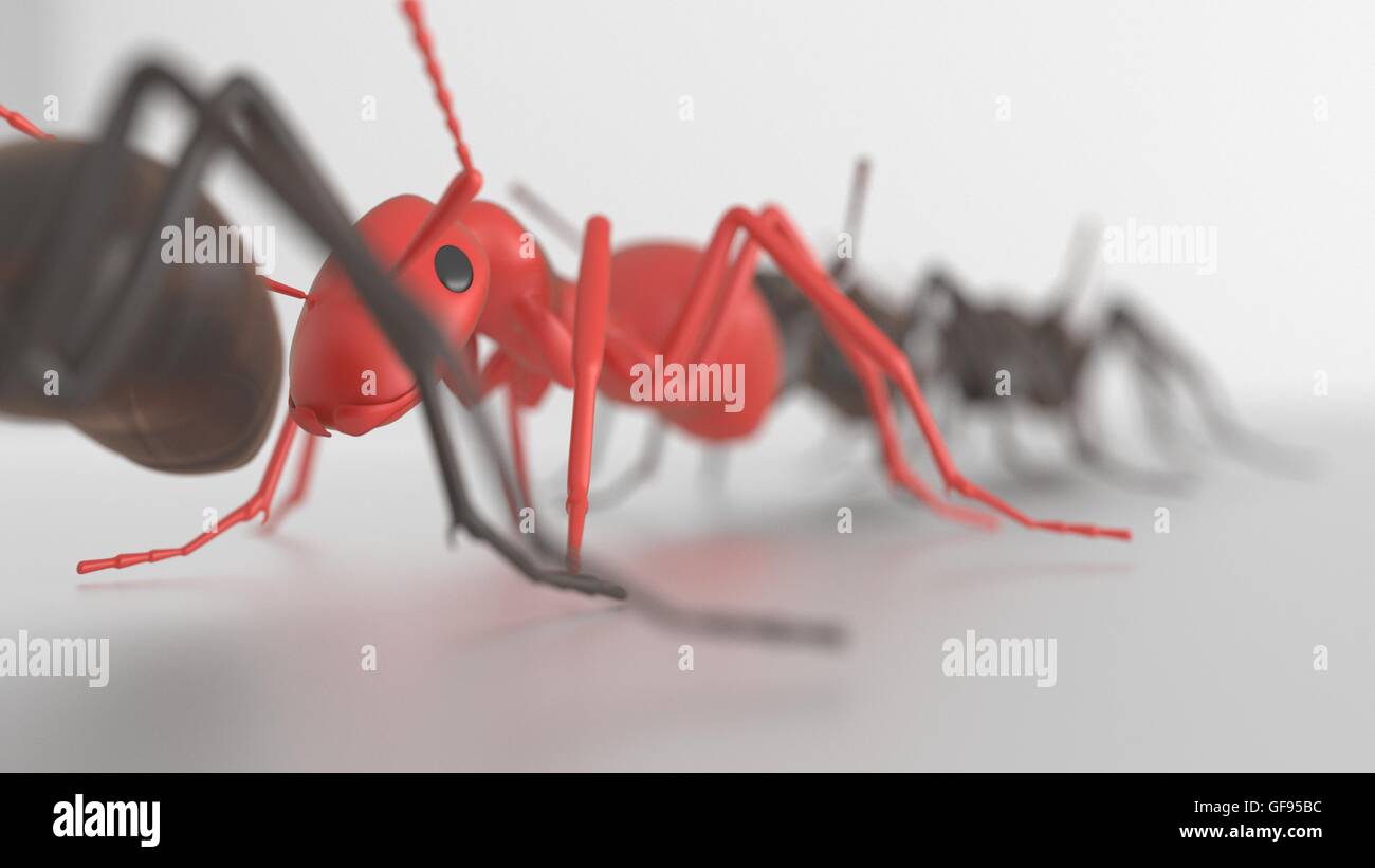 ants walking together in line with red ant standing out 3d render Stock ...