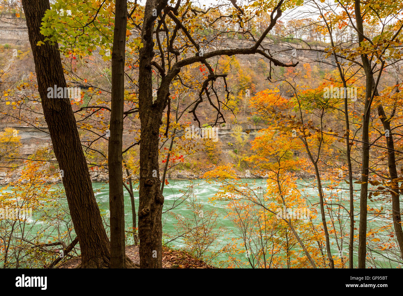 Niagara River canyon and forest Autumn Stock Photo - Alamy