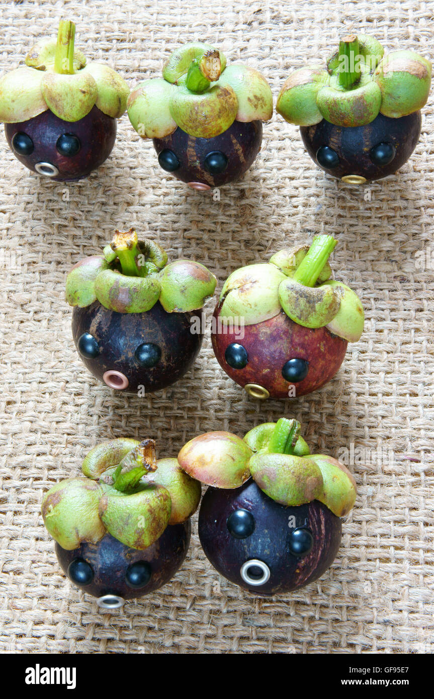 Amazing background with funny idea, impersonation, mangosteen with ...