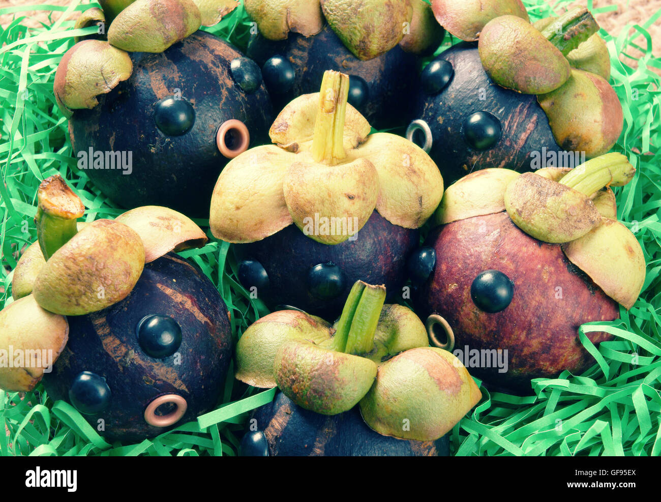 Amazing background with funny idea, impersonation, mangosteen with ...
