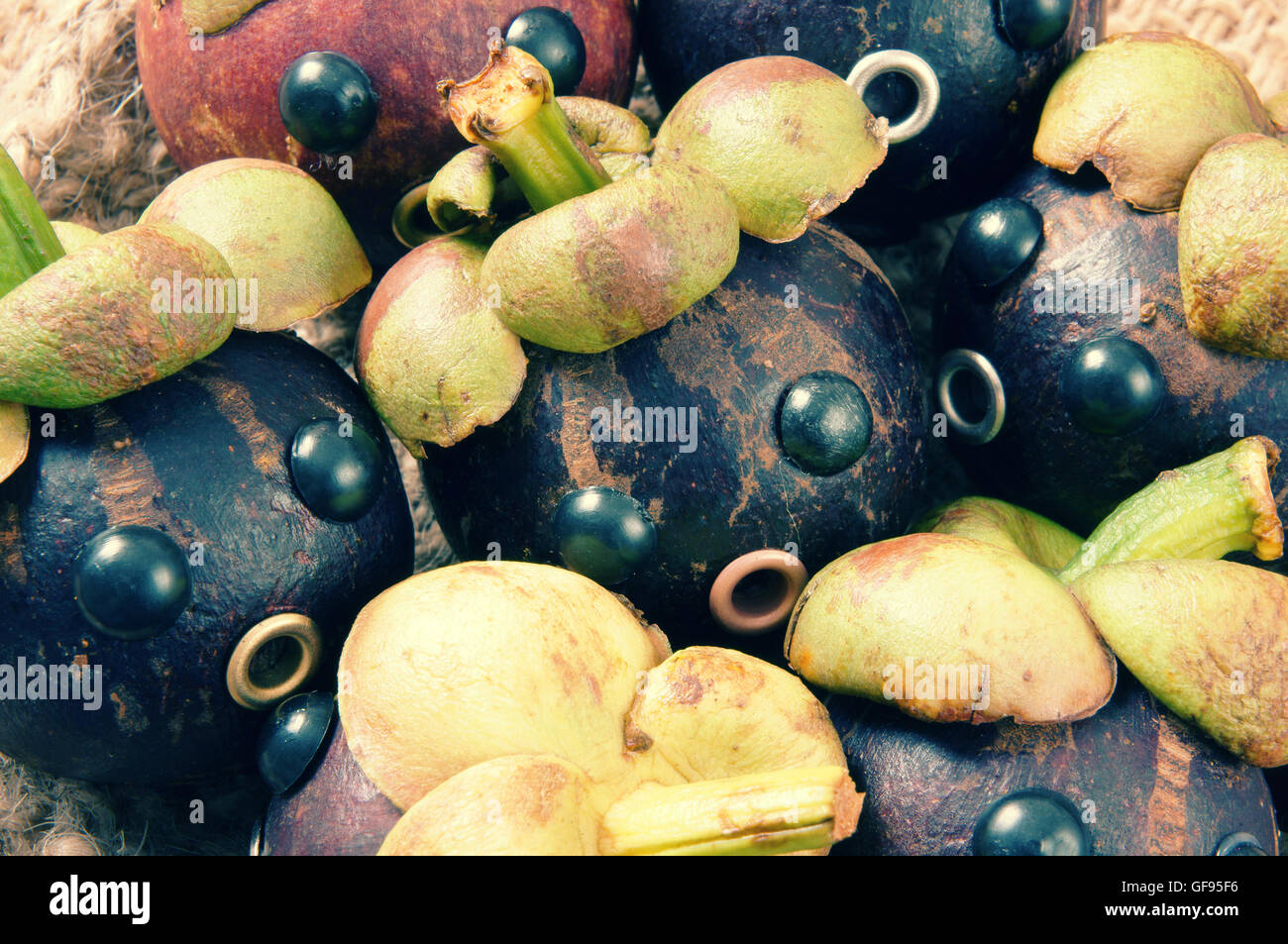 Amazing background with funny idea, impersonation, mangosteen with ...