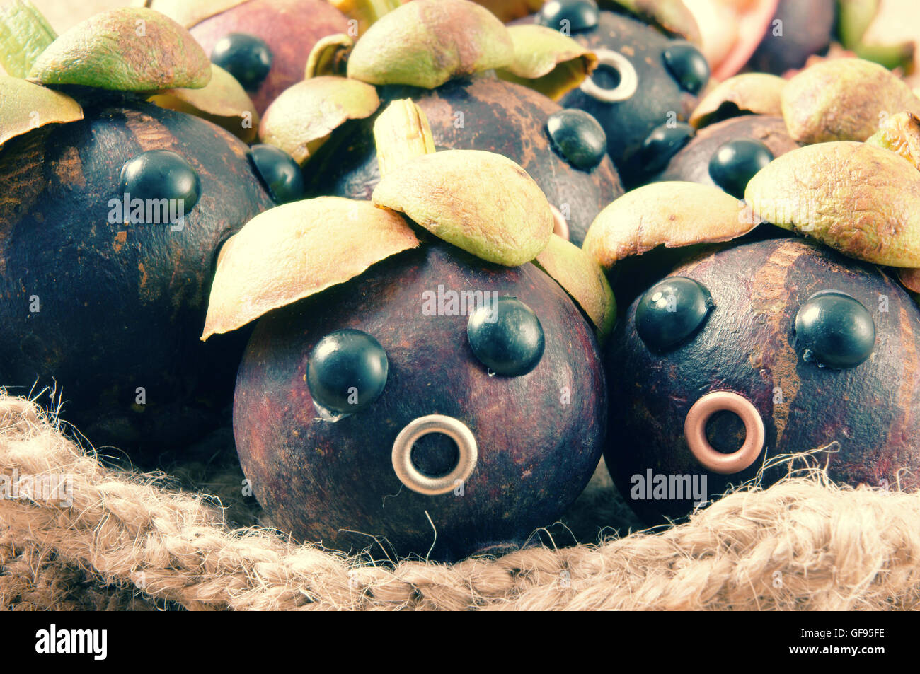 Amazing background with funny idea, impersonation, mangosteen with ...